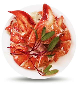 MAPAQ - Homard du Québec : sachez le repérer!