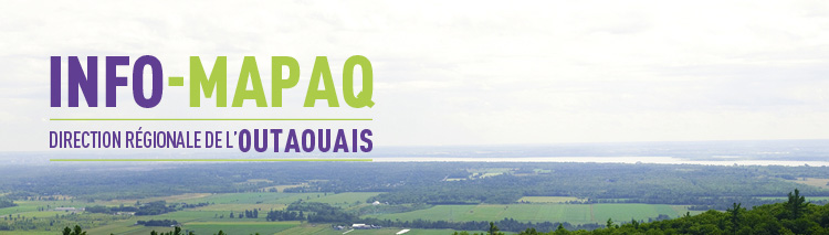 MAPAQ - Infolettre